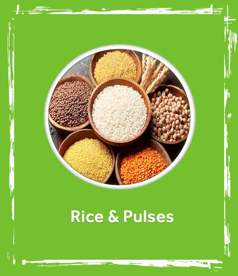 Home | Utility Store